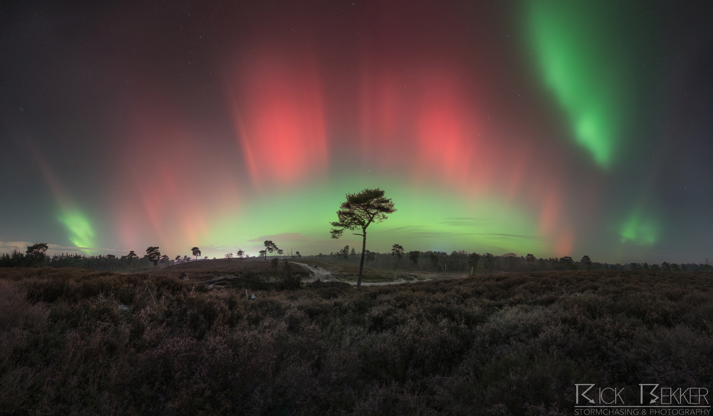 Prachtig noorderlicht in België en Nederland op 19 januari 2026 ...